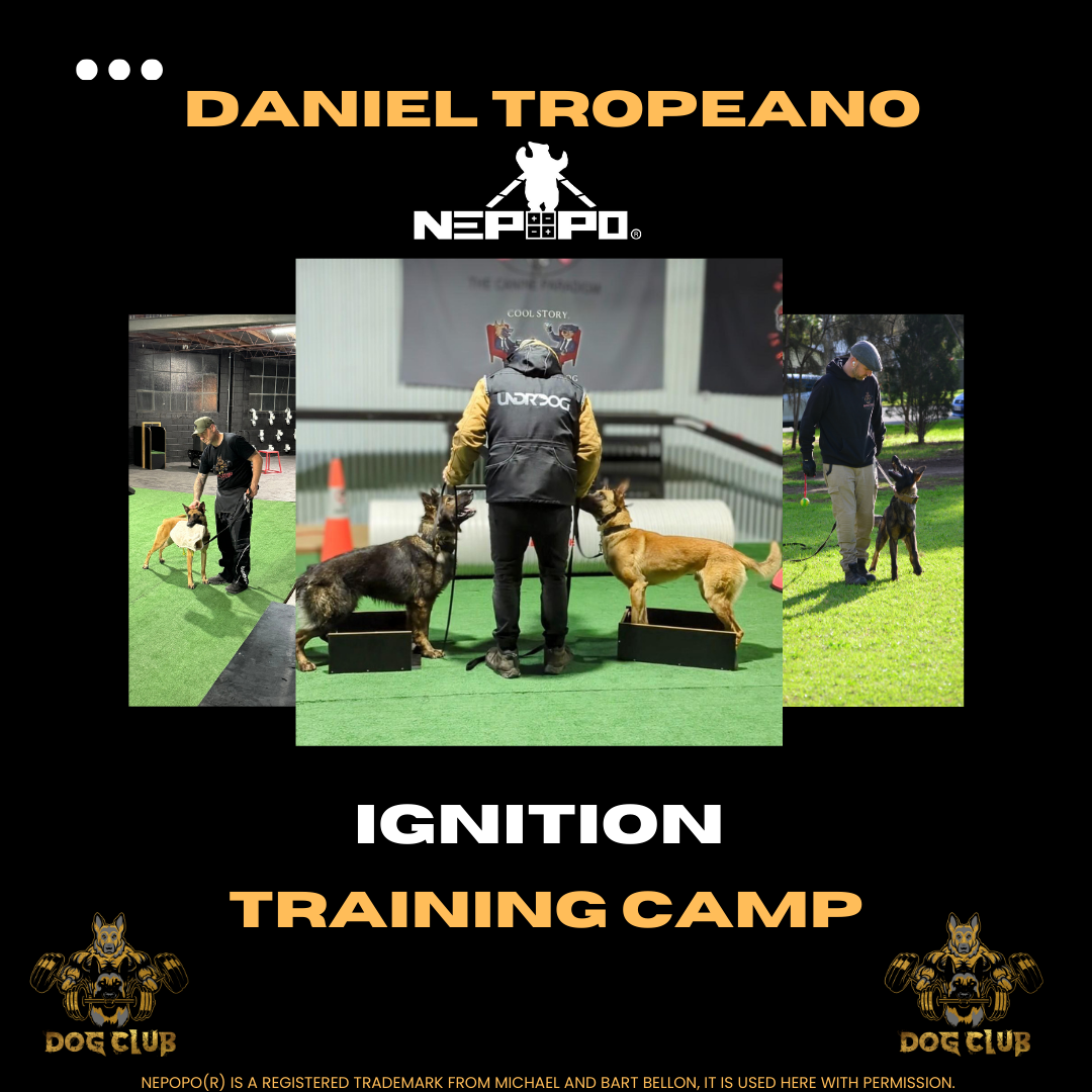 IGNITION TRAINING CAMP – Dog Club SA